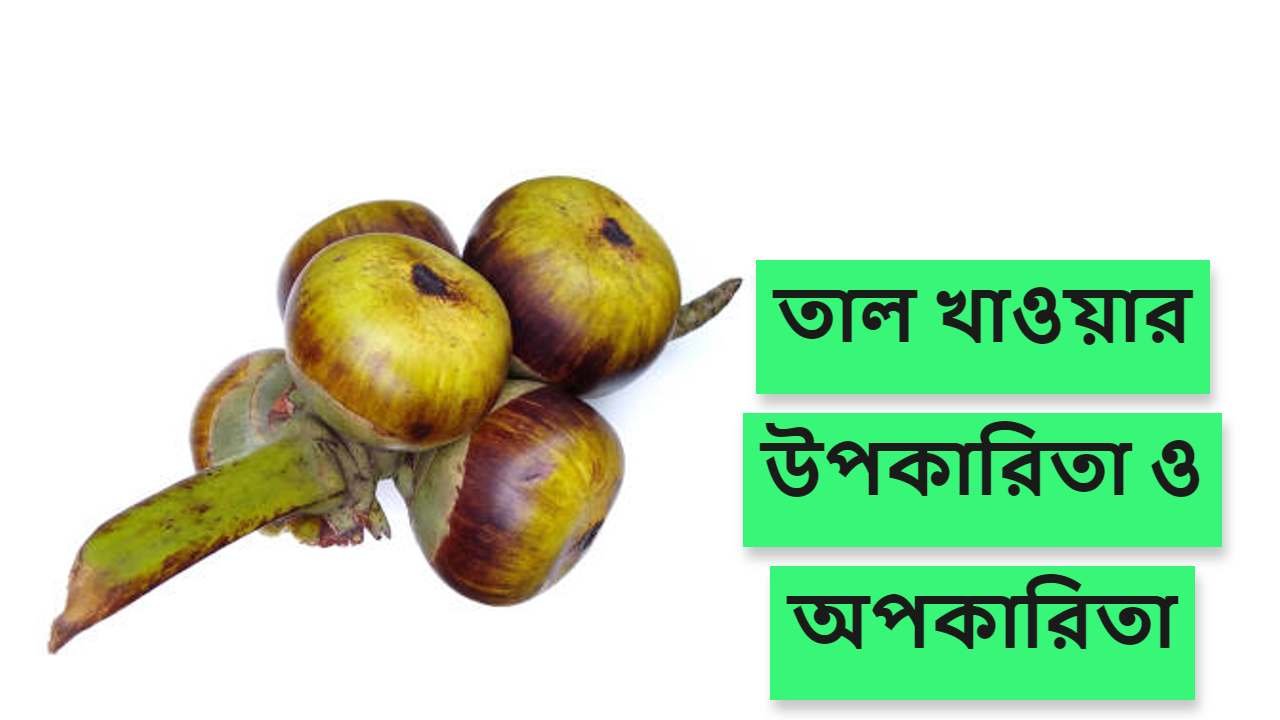 তালের উপকারিতা ও অপকারিতা - Tips Net BD