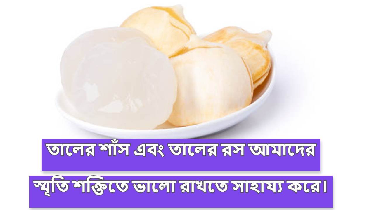 তালের উপকারিতা ও অপকারিতা - Tips Net BD